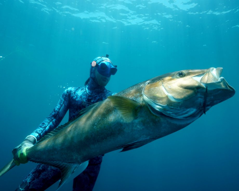 Freediving alarms for spearfishing - DiveBud